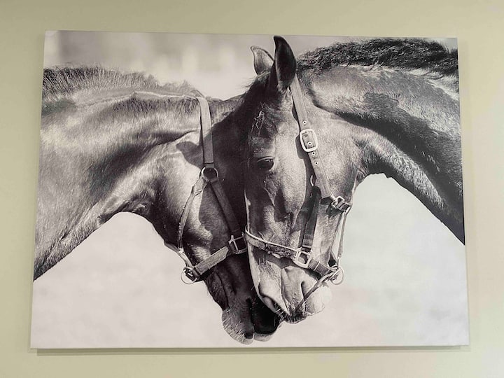 Walking Distance To Everything! Fully Fenced Yard - Saratoga Springs, NY