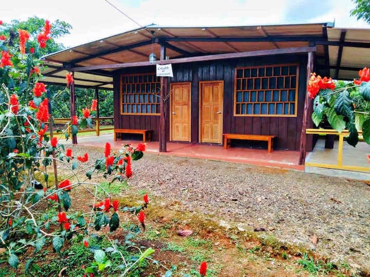 Casita De Chocolate - Orellana