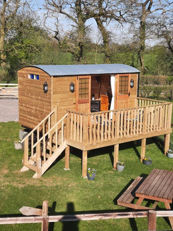 The Lazy Shepherd, Tranquil Rest Near Glastonbury - Glastonbury