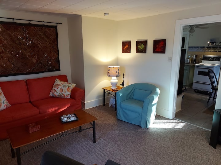 Bright, Private 1 Br Coachhouse With Fast Wifi - Kingsville