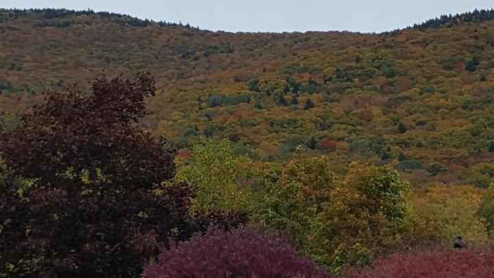 The Links @ South Peak
Rustic Riverfront Condo - Loon Mountain, NH