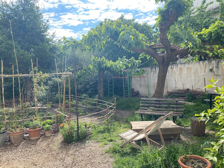 Appartement Rez-de-jardin - Avignon