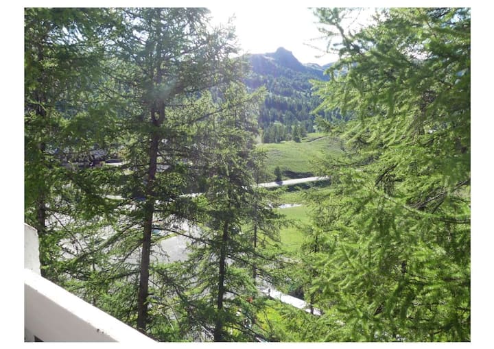 Appart 2 Pièces 6 Personnes Vars Les Claux Calme - Ceillac