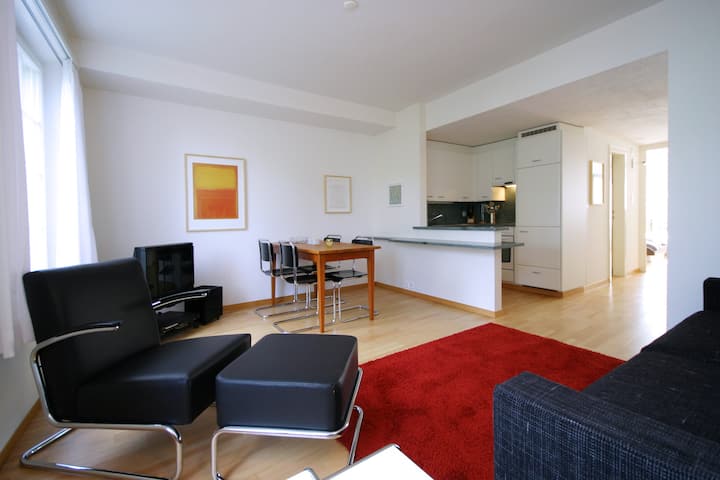 Charming 1br Apartment In The Old Town - Uz4 - Zürich