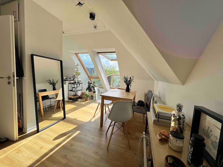 Dachwohnung Am Vorgebirgspark - Cologne