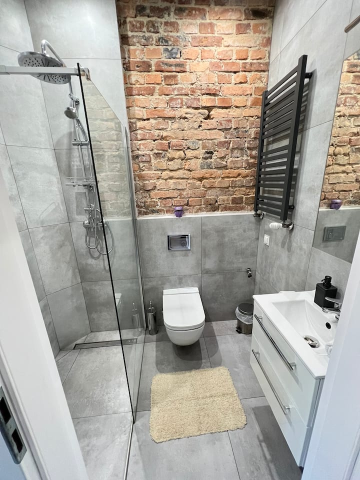Pow6d_charming Apartment Katowice City Center - Katowice