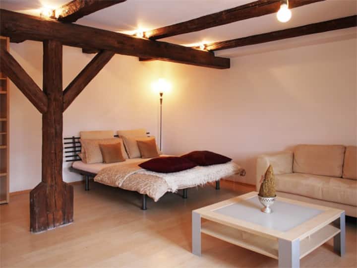 Apartmt.modern+style Uninähe  Preis Ab 3 Nächten - Regensburg