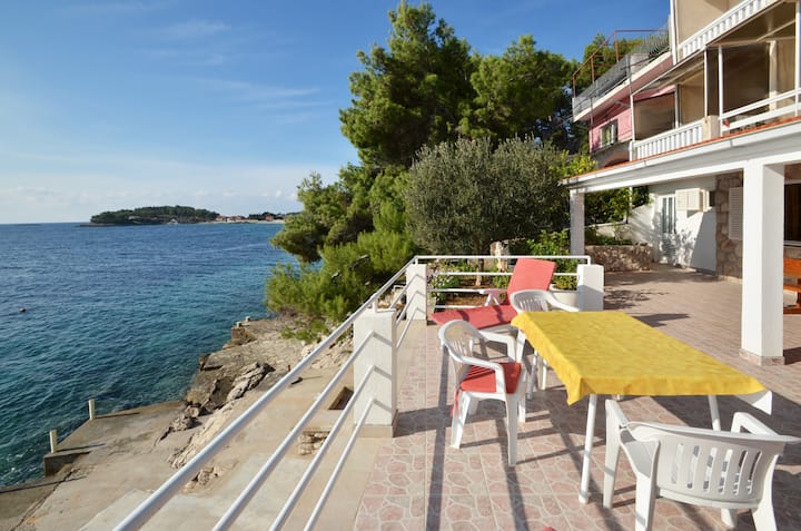 Crklica - First Row To Sea - Smokvica