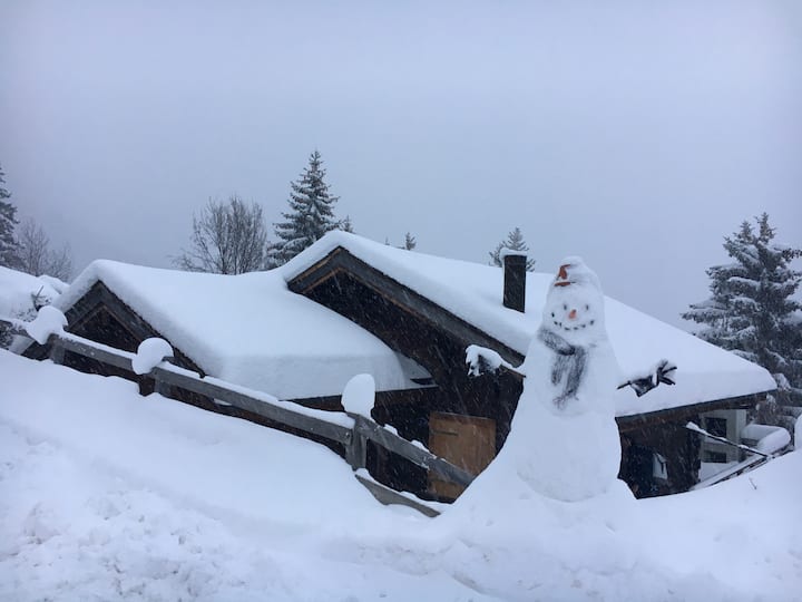 Anzère, Charmant Chalet Au Calme Avec Belle Vue - Anzère