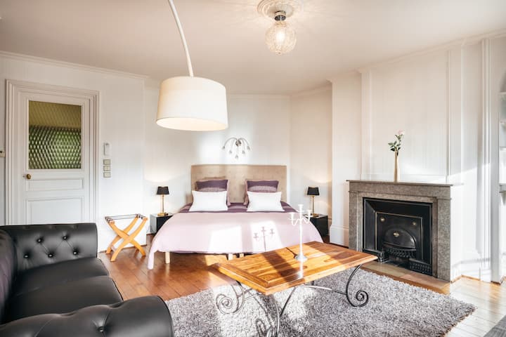 Grand Appartement Luxueux, 6 Ch En Hyper-centre - Lyon