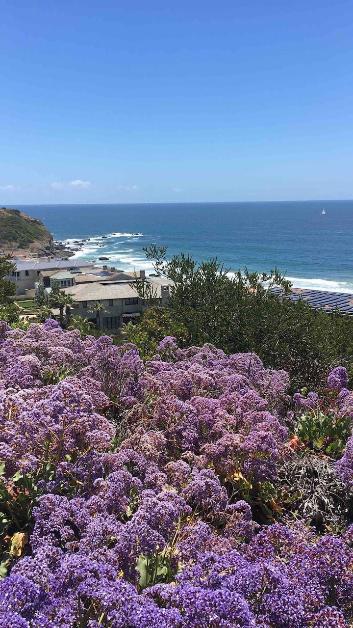 An Oasis Of Charm, Peace Comfort In Great Location - Laguna Beach, CA