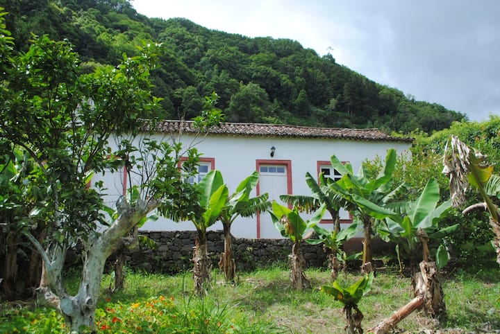 Casa João Moleiro - Azores