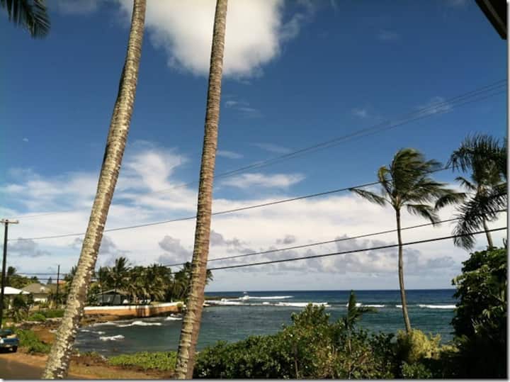 Great Ocean View Prince Kuhio 201 - Kauai, HI