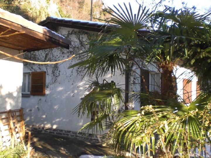 In Nature Near Bus Stop Corner Room - Bellinzona