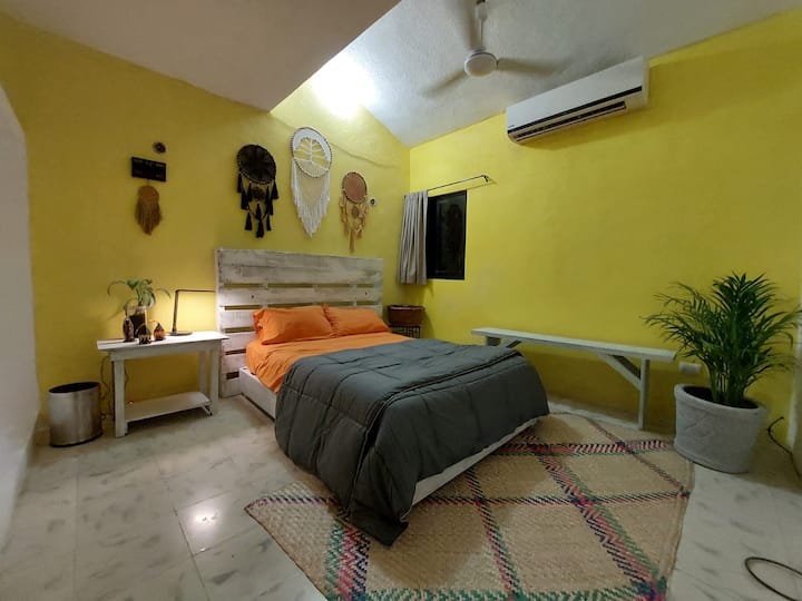 Pet Friendly Room 1 - Cozumel