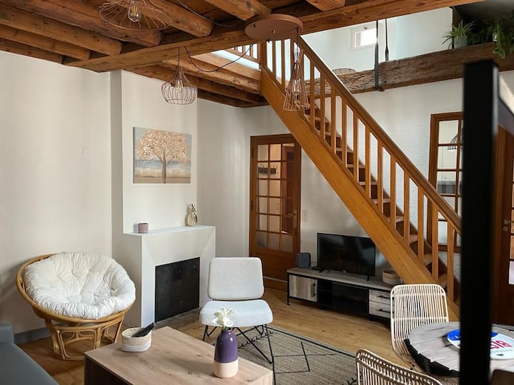 Le Duplex De La Reine- Cosy T3 Au Cœur De Chambéry - Chambéry