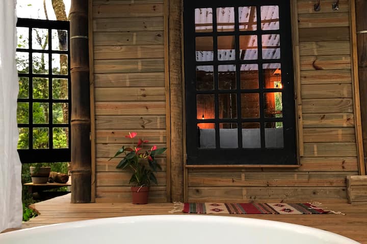 The Evas Forest - Petrópolis