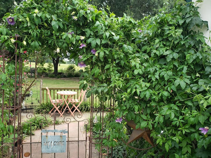 The Lilly Pad Guest Room Cottage Setting
See Pics - Canton, TX