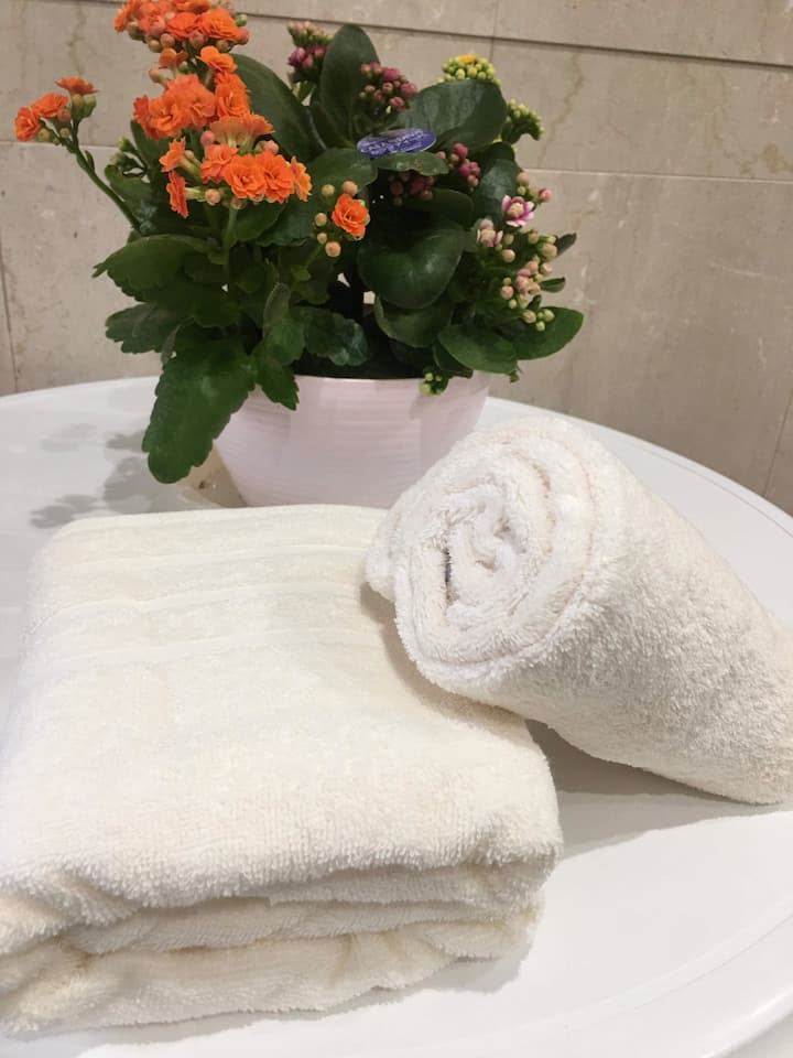 東京民宿小新之家Tokyo Shin Hotel #1 - Asaka