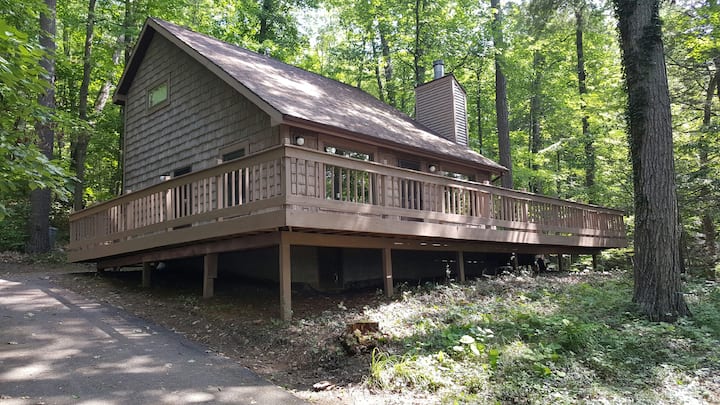 Keuka Treetop Cottage With Private Beach - Keuka Lake State Park, Keuka Park