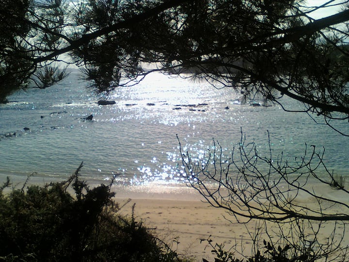 Tranquilidad  Y Vistas (Illas Cies) - Cangas