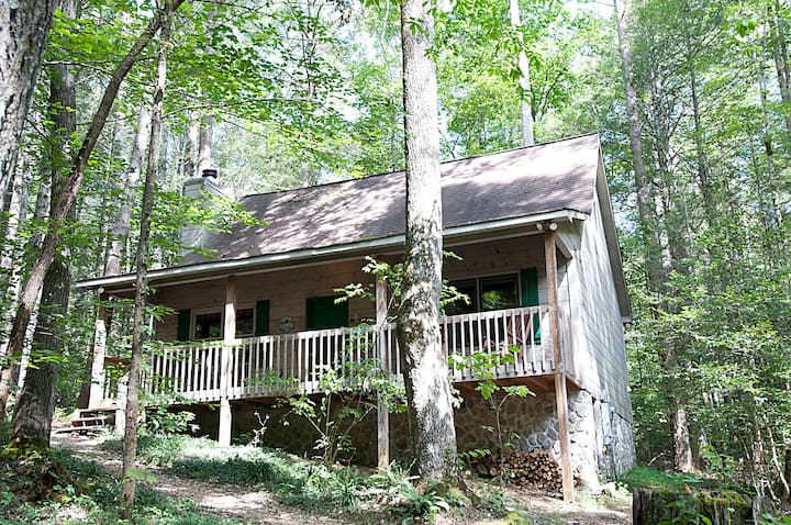 Cozy Mountain Cabin, Clean! Wifi!  = Evergreen!! - Townsend, TN
