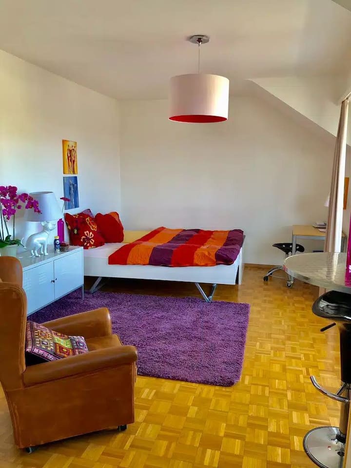 Wohnung Mit Balkon,schöne Aussicht,küche,bad,wifi - Basel