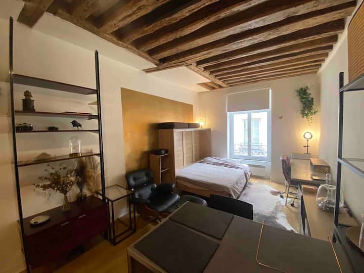 Golden Flat In The Marais - Paris