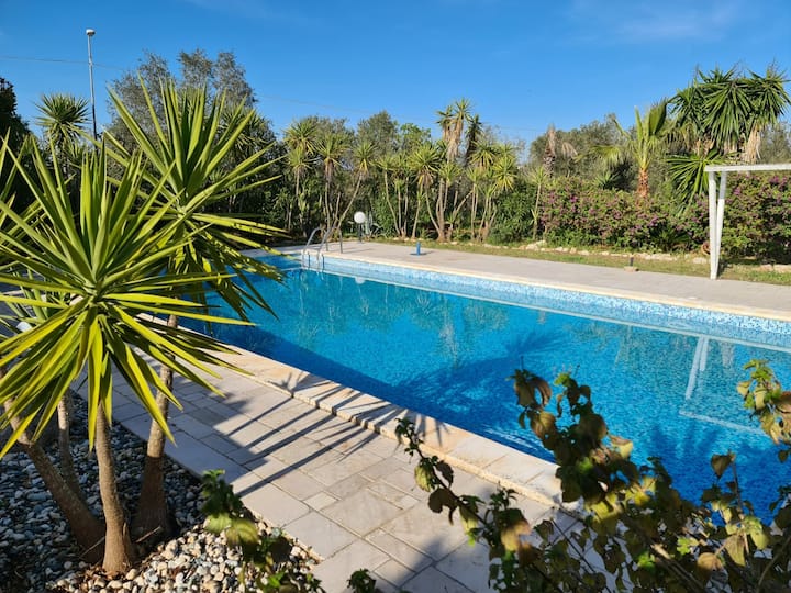 New Villa With Swimming-pool,san Vito Dei Normanni - San Vito dei Normanni