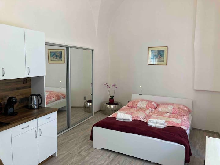 Studio In Gothic House, 50m To The Old Town Square - Prague
