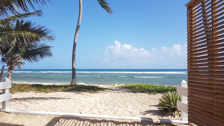 Les Pieds Dans L'eau / 30 Meters From The Beach - Saint-François