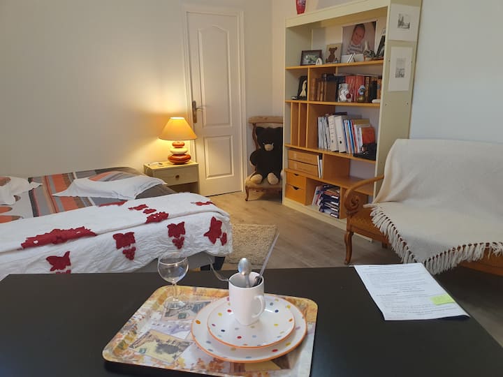 Chambre  Ml Sdb Privée - Olivet