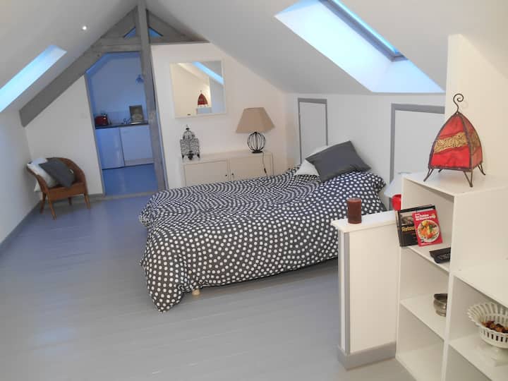 Beau Studio à Nantes (Centre Ville) - Gare de Nantes