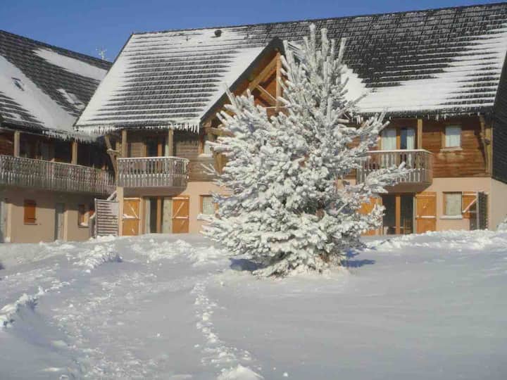 Super Besse : T3 Piscine Parking Navette - Chambon-sur-Lac