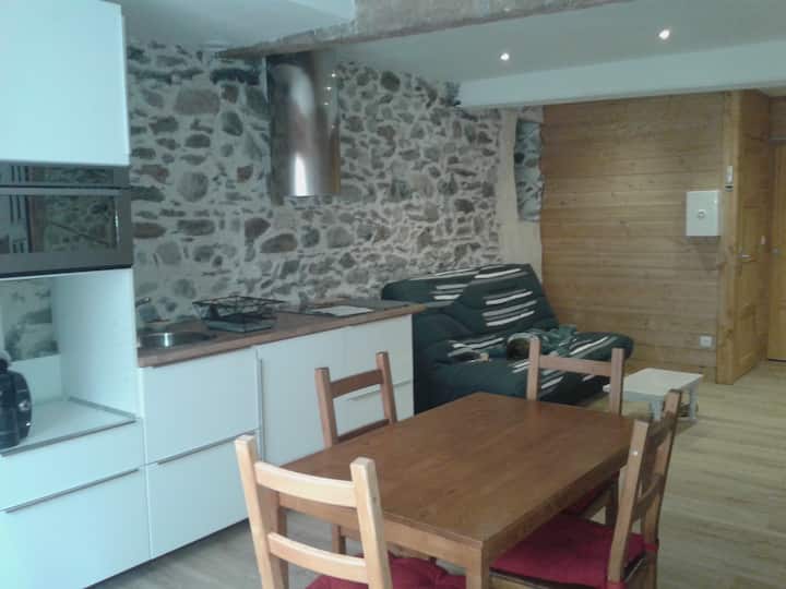 Studio Cabine 30m² Classé*** En Rdc Au Centre D'ax - Ax-les-Thermes