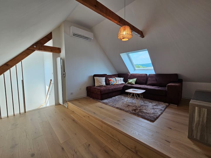 Duplex - 125 M2 - Climatisé - Borne Ve - Parking - Saverne