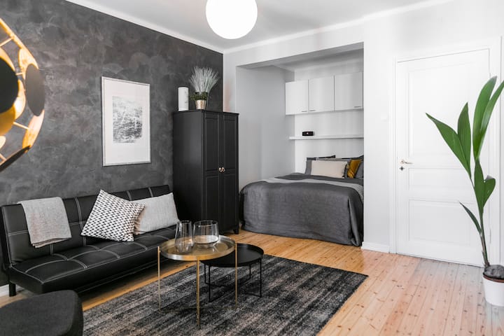 Modern, Large Studio Apartment In City Centre - Helsinki
