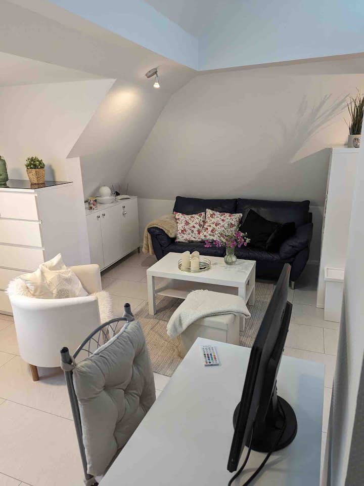 Schöne Zentrale Wohnung Im 2. Og - Siegen