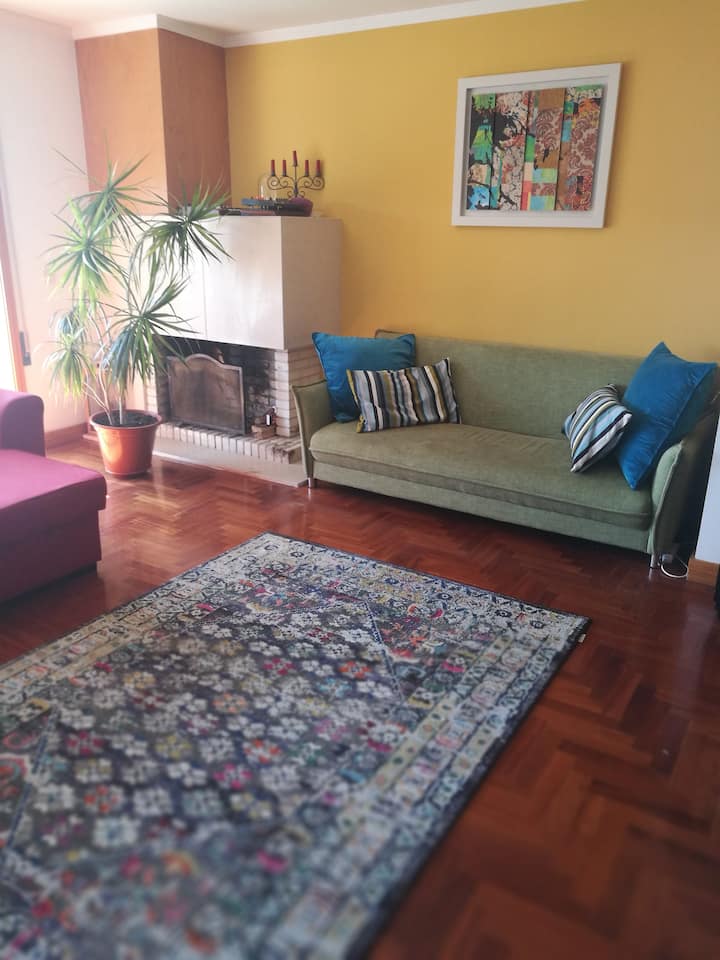 Big And Luminous 4-room Apartment - Porto