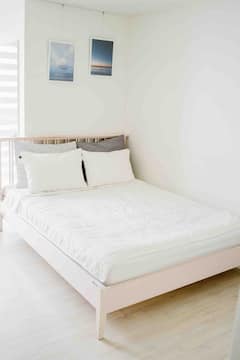 A Day Of Animal Fun At Busan Zoo | Trip101