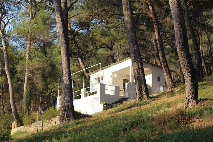 Charmante Maison Dans Les Pins, Mer Très Proche  ! - Saint-Cyr-sur-Mer
