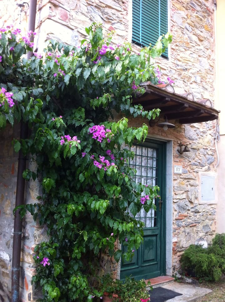 La Casina Di Giuliano On The Hills Of Versilia - Camaiore
