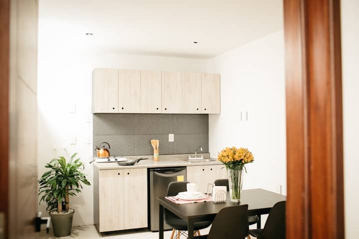 Nuevo Departamento Ejecutivo Moderno De Lujo  7 - León, México