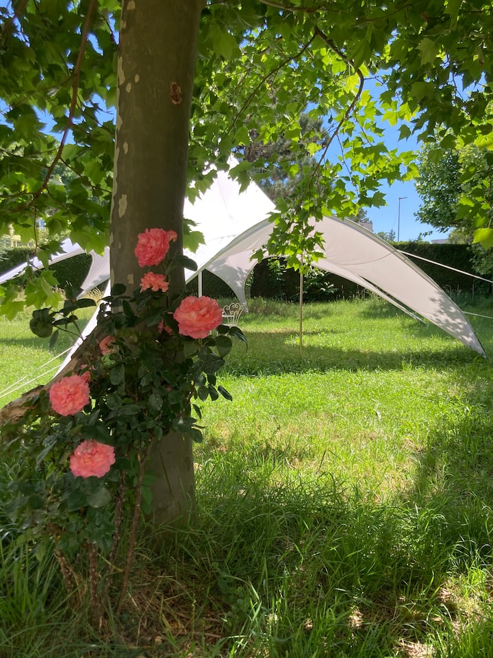 Espace Mûriers - La Garçonnière - Neuchâtel