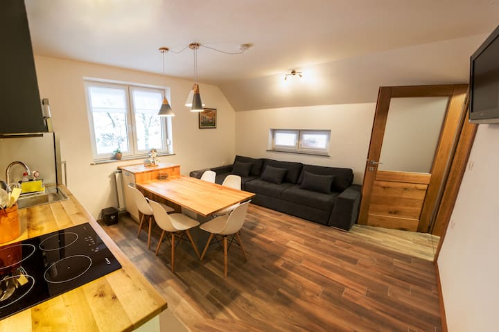 Apartment Laznica 1 | For 6 People | Ground Floor - Cerkno