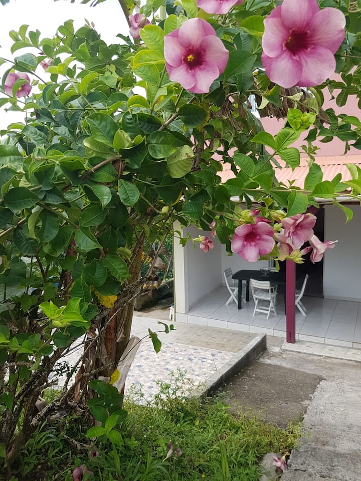 T2 Pour 2 Personnes Au Sud De La Martinique. - 마르티니크