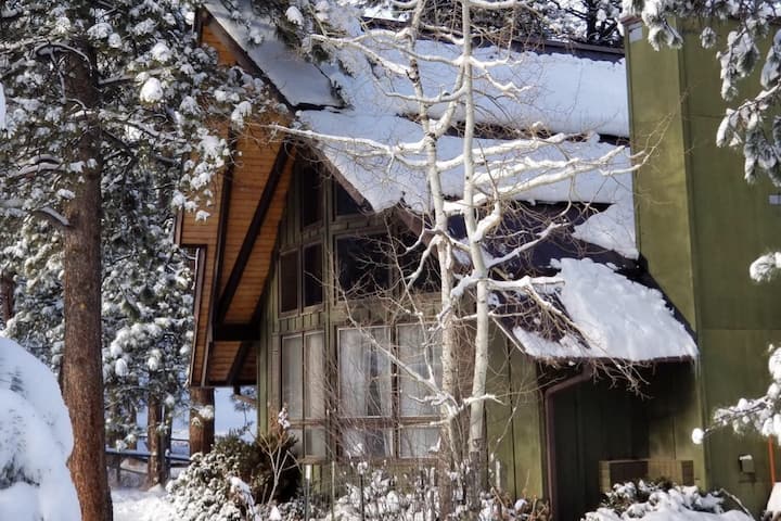 Cozy Mountain Cabin | Forest | Sauna | Fireplace - Evergreen, CO