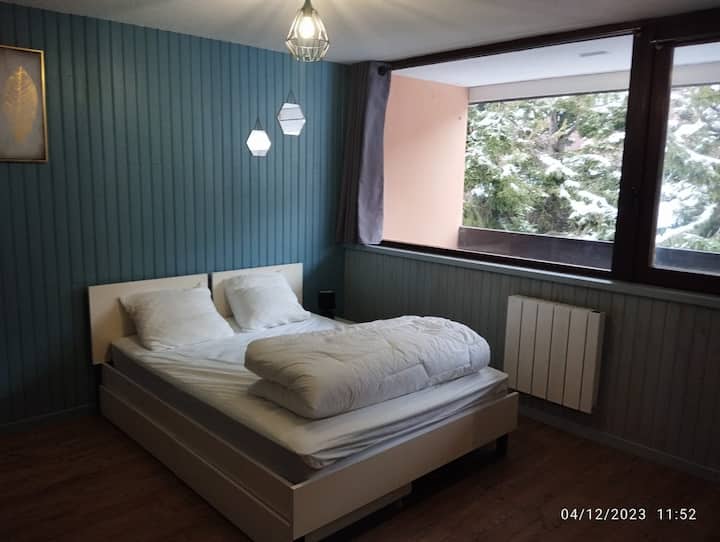 Proche Des Pistes- F2-36 M2 / 4-6 Pers-2 Etoiles - Besse en Chandesse