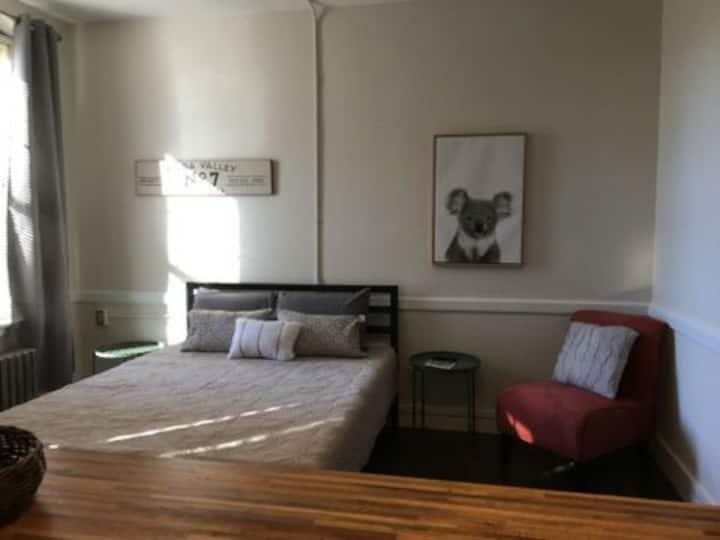 Comfortable Downtown Studio. Walk Everywhere. - Asheville, NC