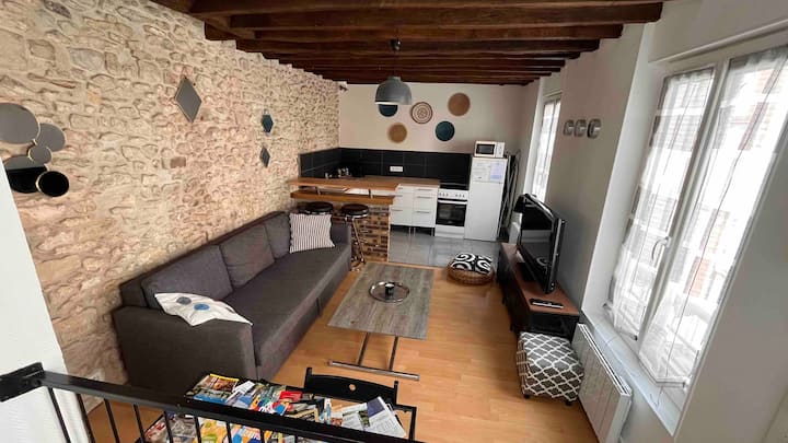 Duplex Cosy Fontainebleau Hyper Centre - 퐁텐블로
